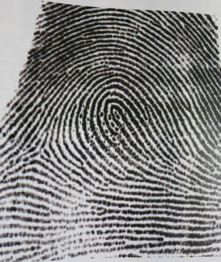 fingerprints – Kerrian's Notebook